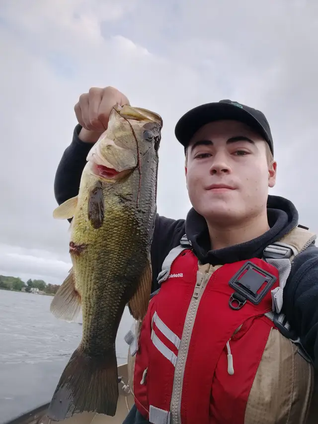 Slinging hogs | Scrolller