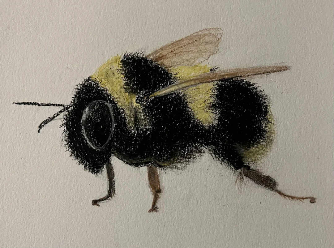 Sweet Little Bumblebee, p0oj92, Chalk Pastels, 2023 | Scrolller