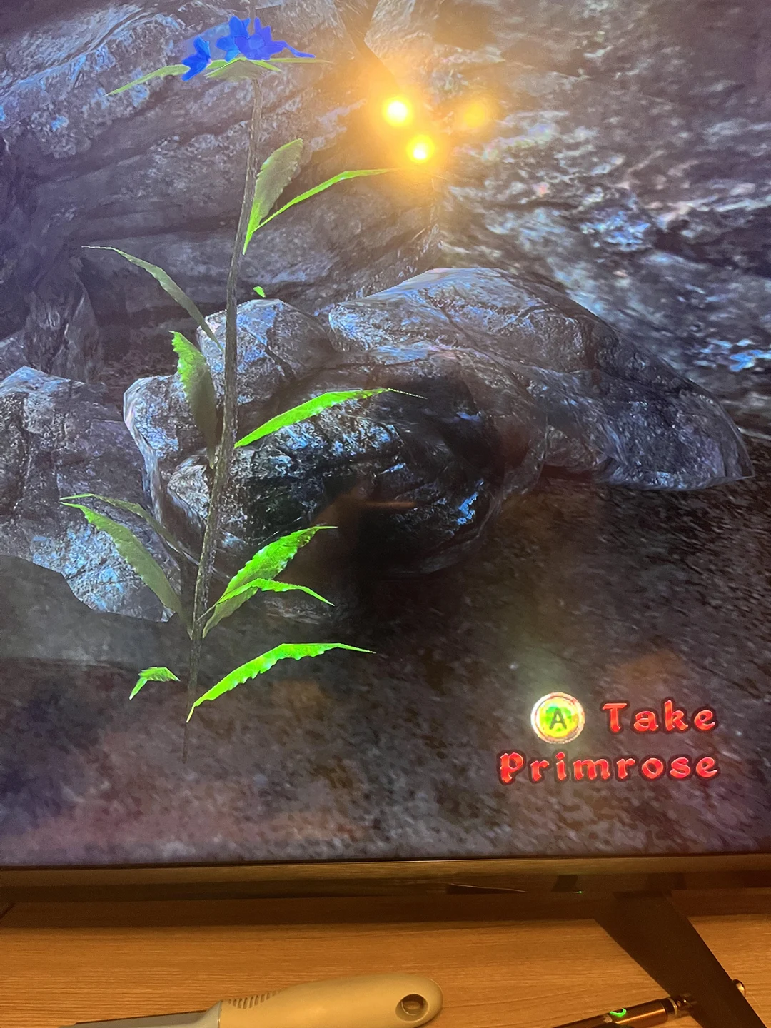 Can’t pick up some plants suddenly | Scrolller