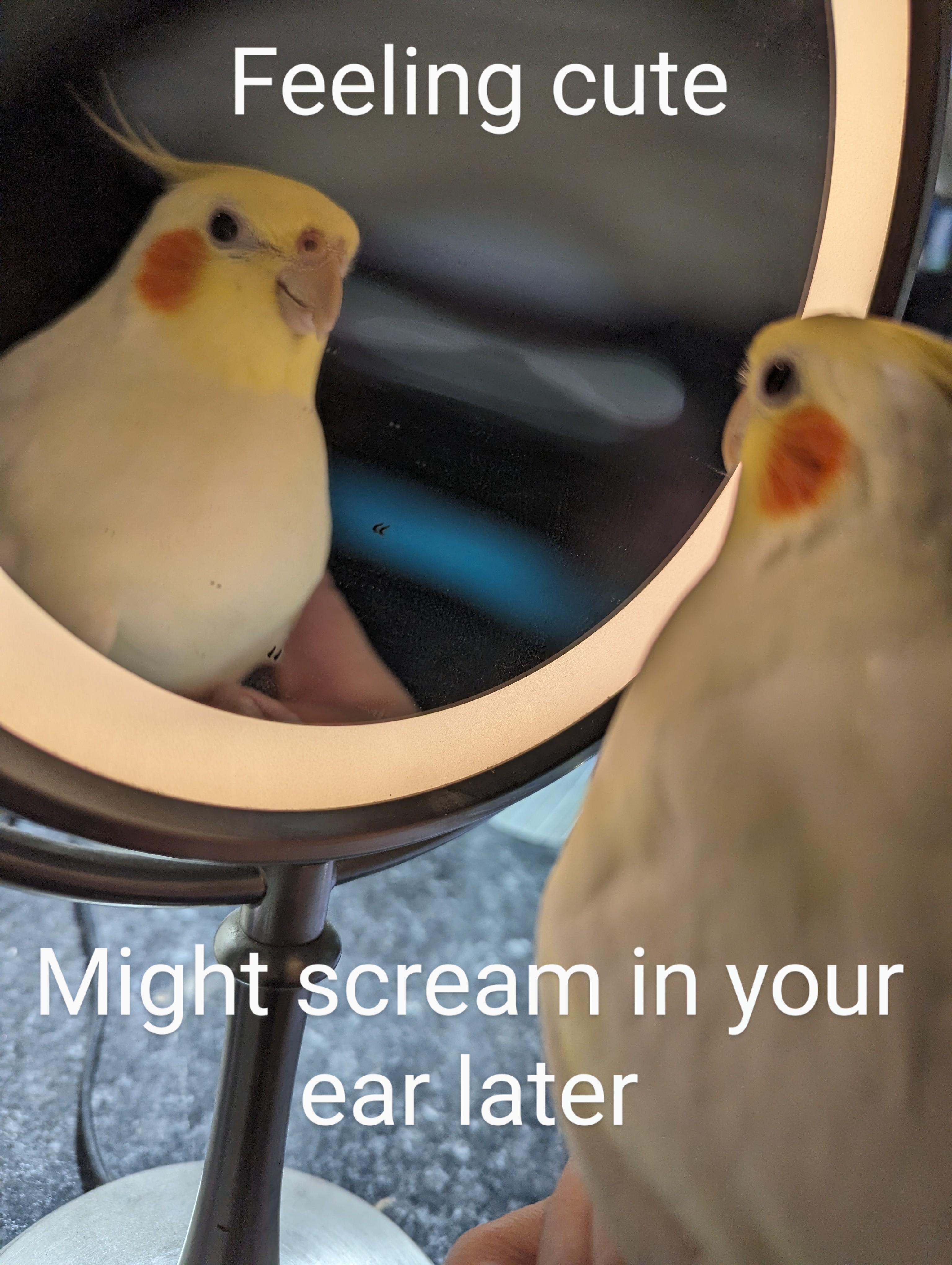 Our Charlie | Scrolller