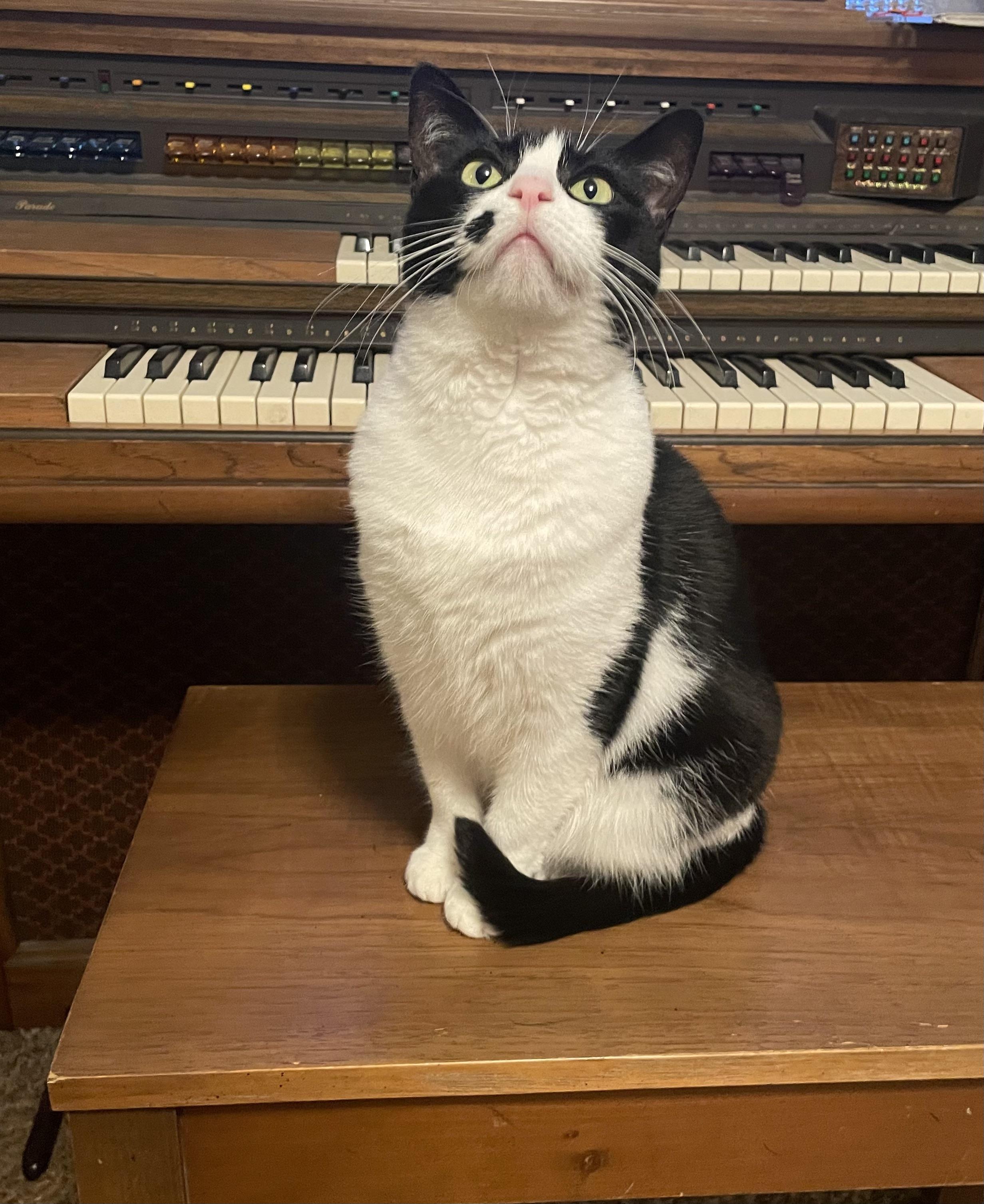 Cindy Clawford always posing :) | Scrolller