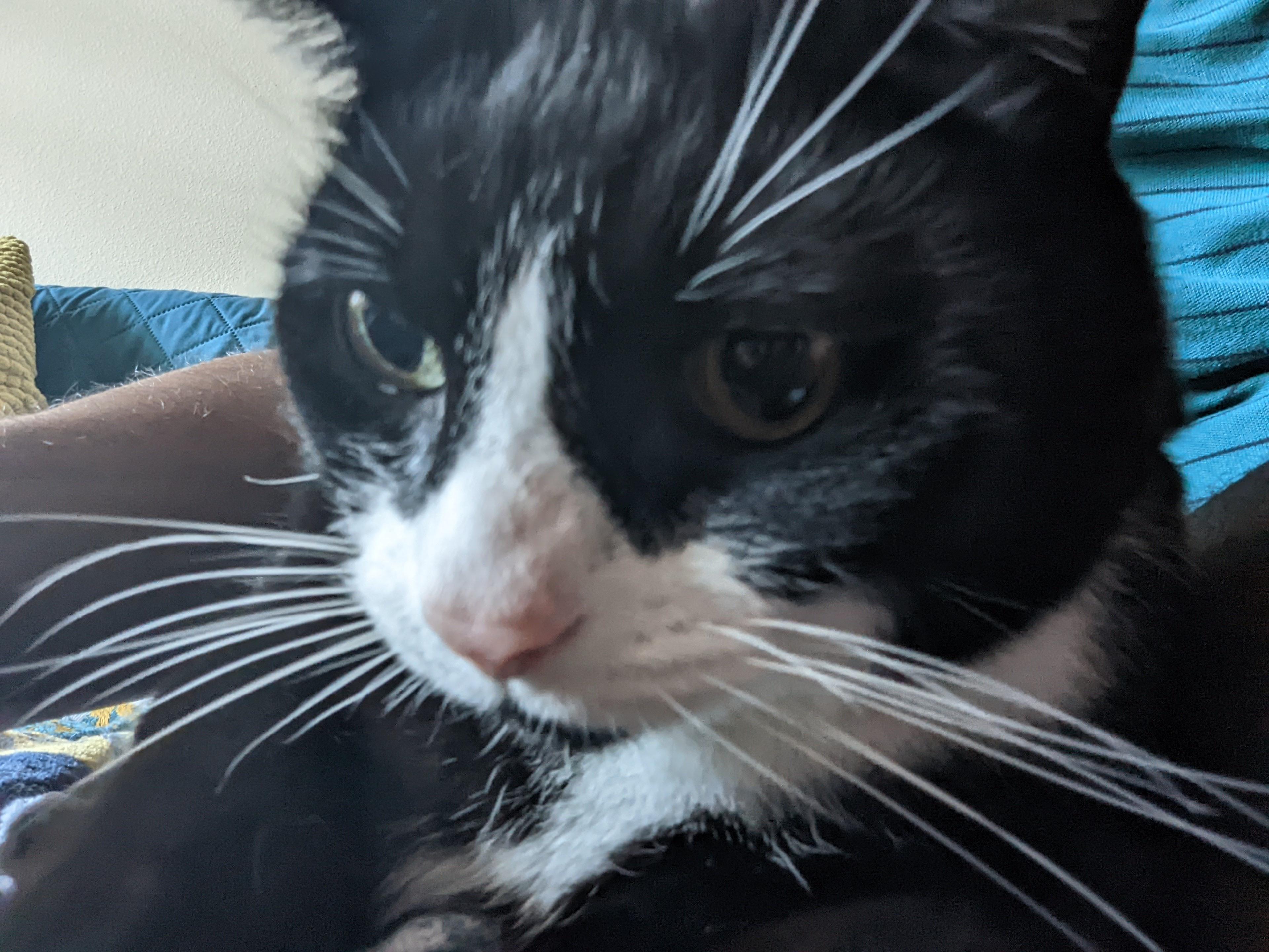 For your consideration... | Scrolller