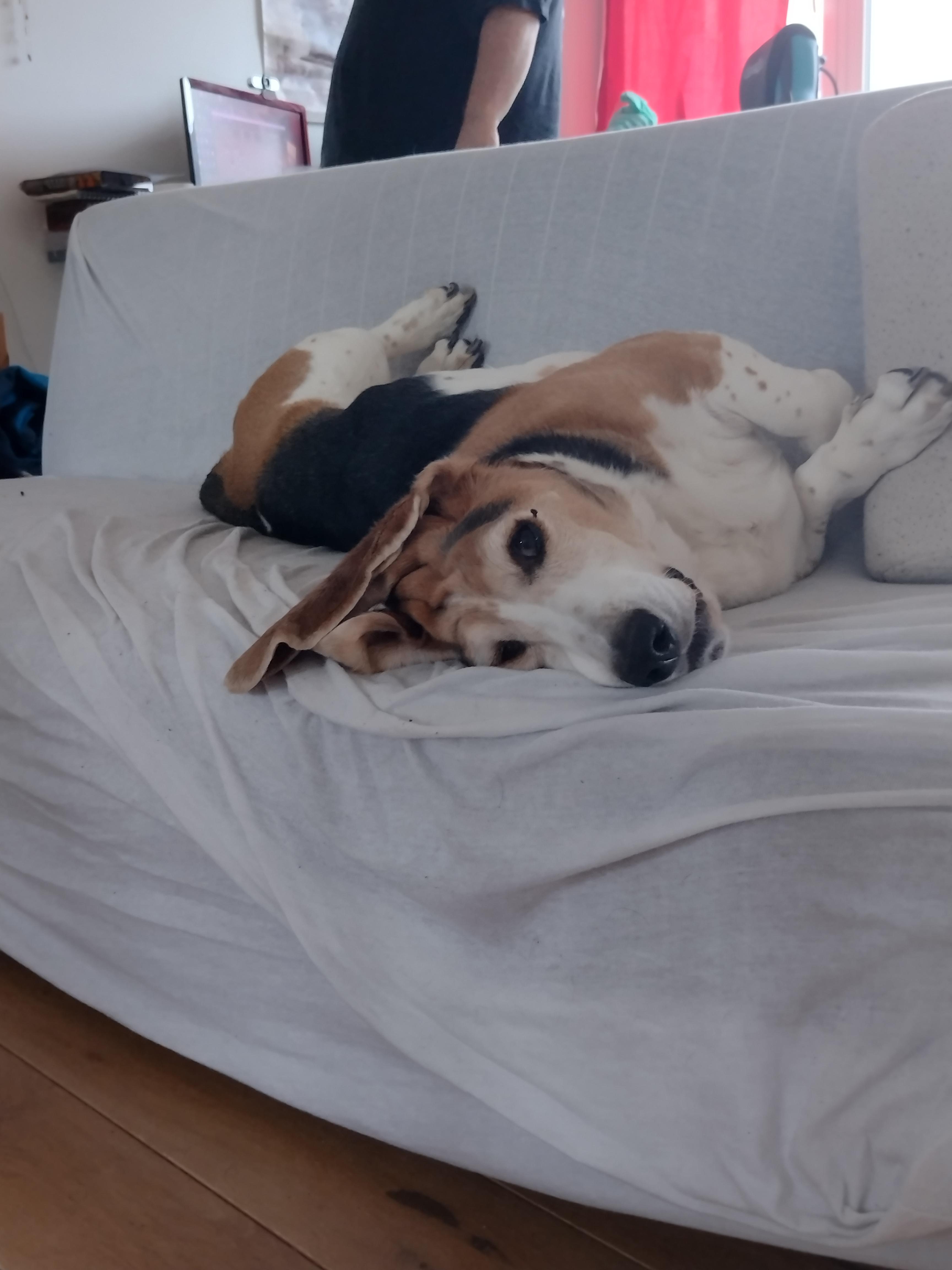 Mr. Lumpy bum being a lump | Scrolller