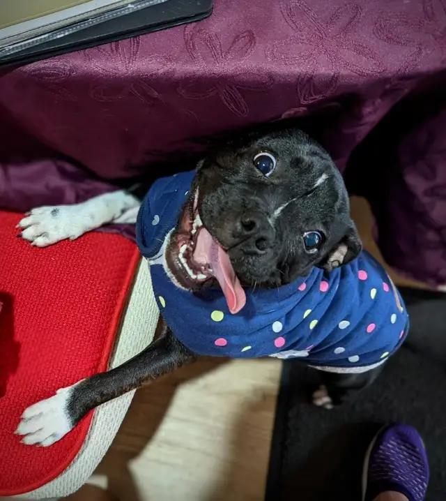 She's .... Special | Scrolller