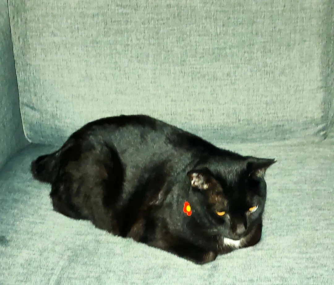 Burnt loaf... | Scrolller