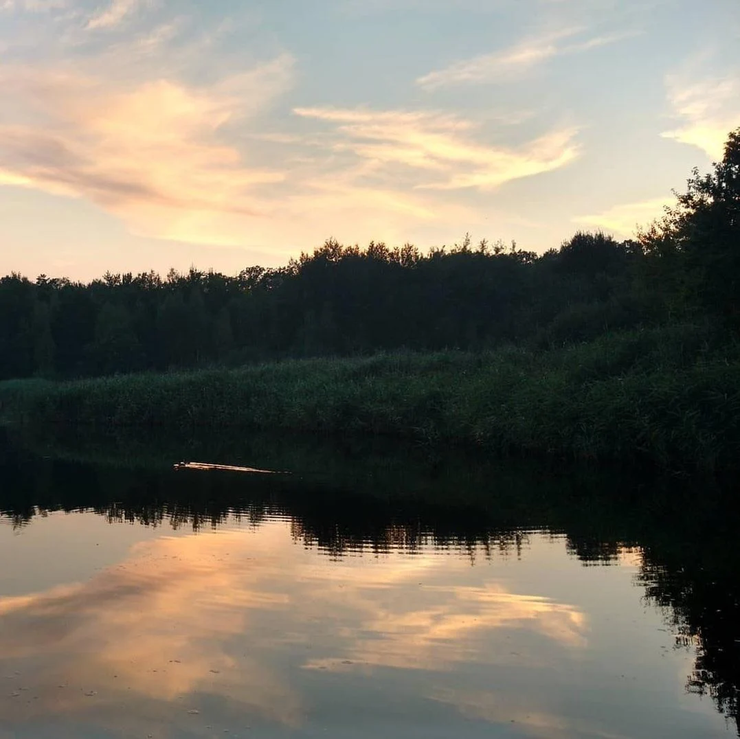 A nice reflection | Scrolller