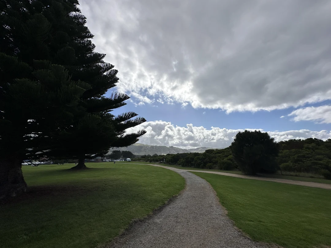 Camera issue on 14 pro | Scrolller