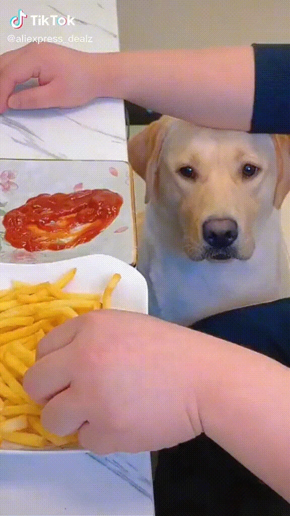 He won't eat it without ketchup | Scrolller