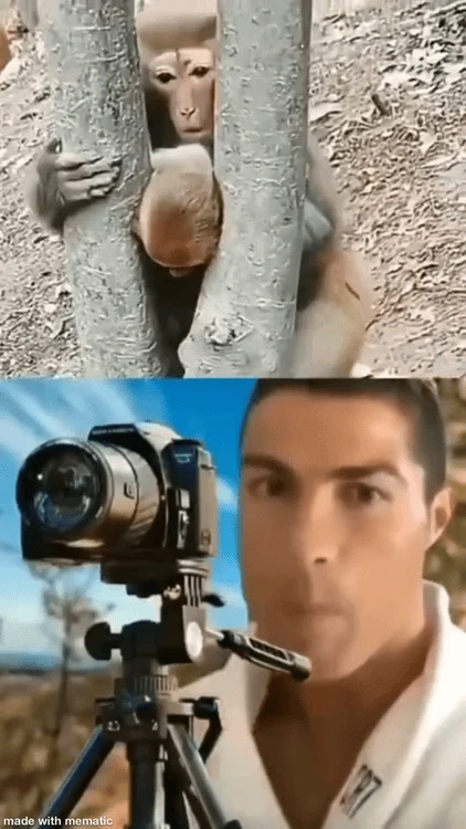 National Geographic going for best picture | Scrolller