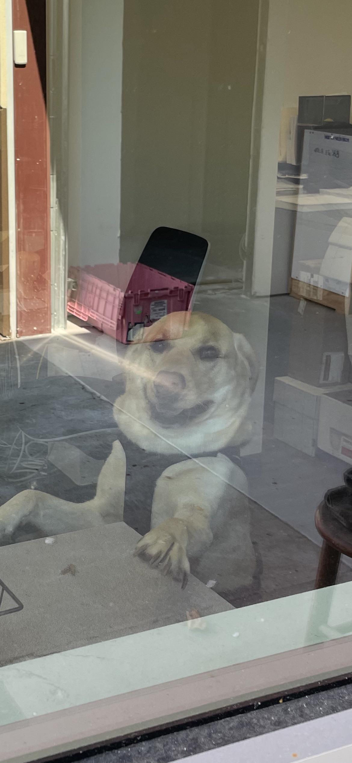 Yogi Bear | Scrolller