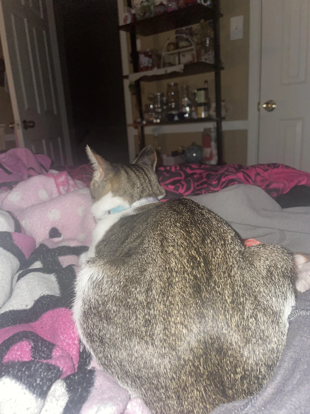 big booty loaf | Scrolller