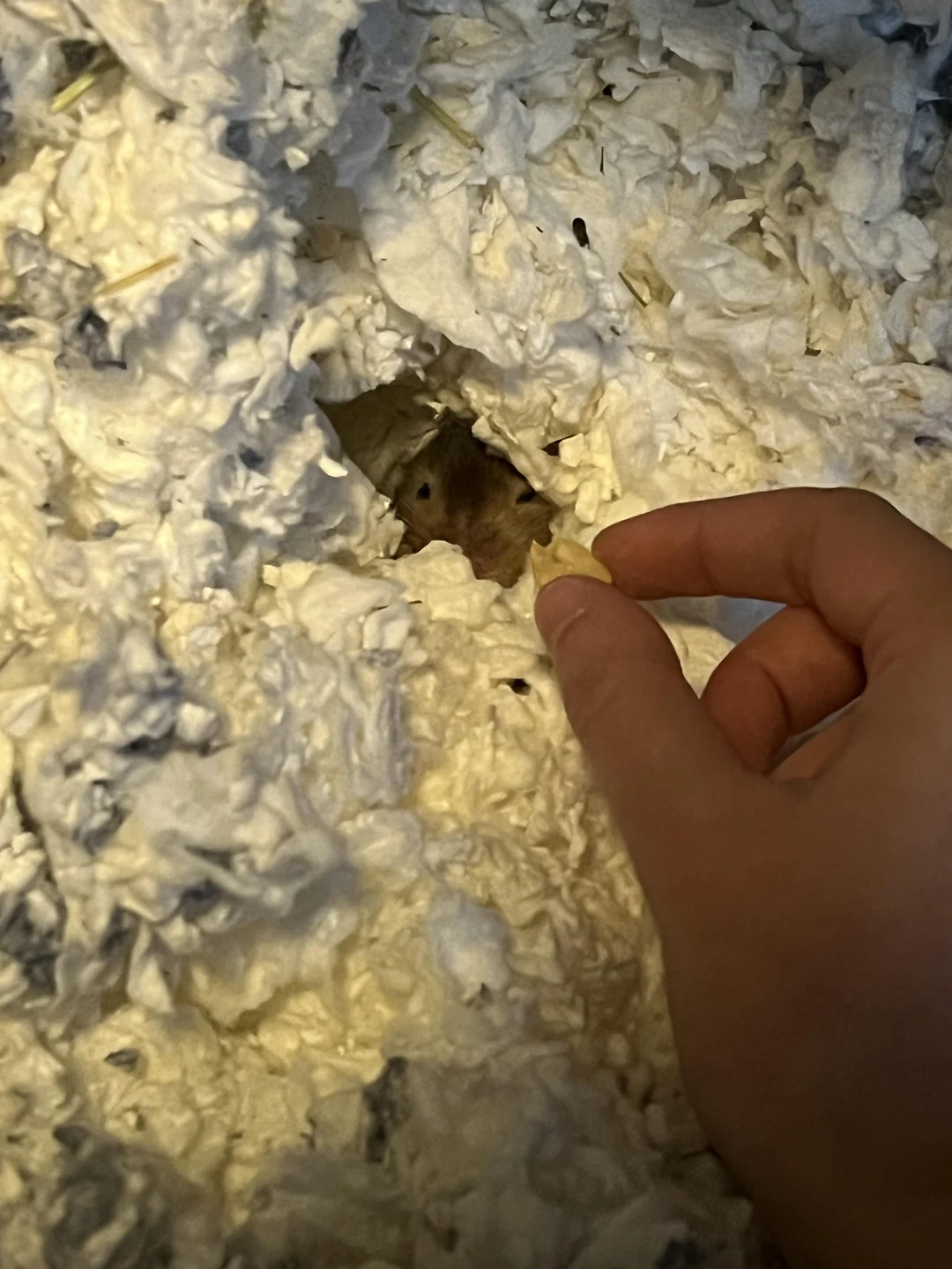 Grumpy Baby | Scrolller