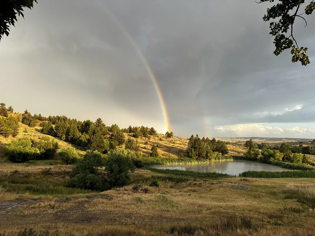 Last pond photo. I promise there is more to see. Had a quick storm roll through. | Scrolller
