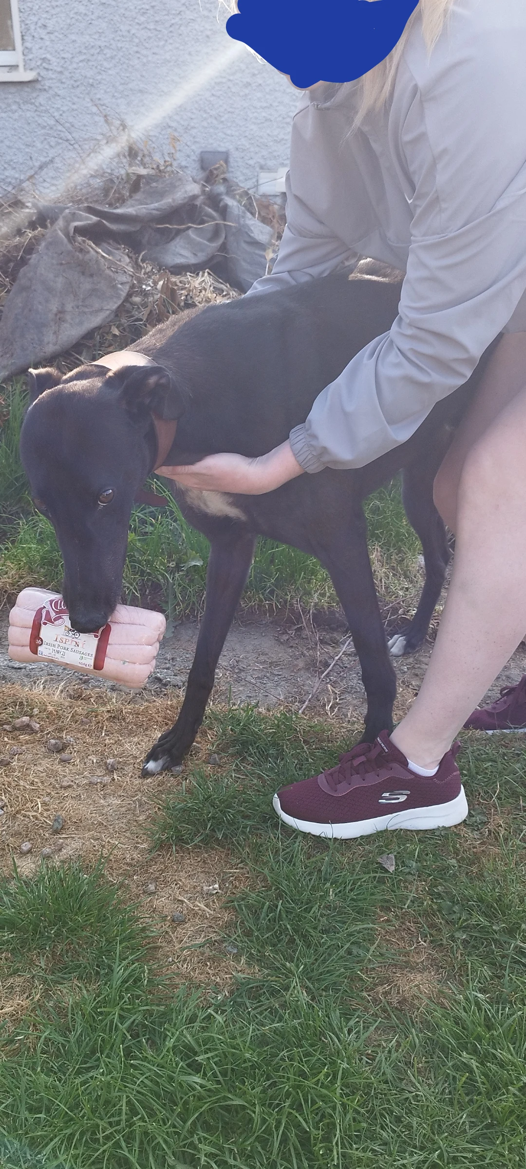 Stole sausages while cooking a bbq | Scrolller