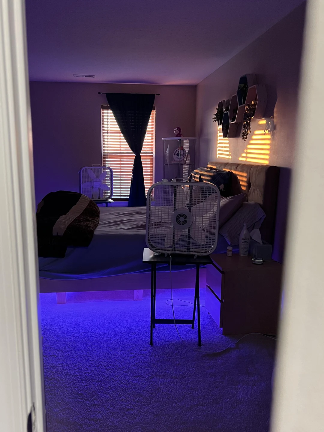 Evening light, my bedroom | Scrolller