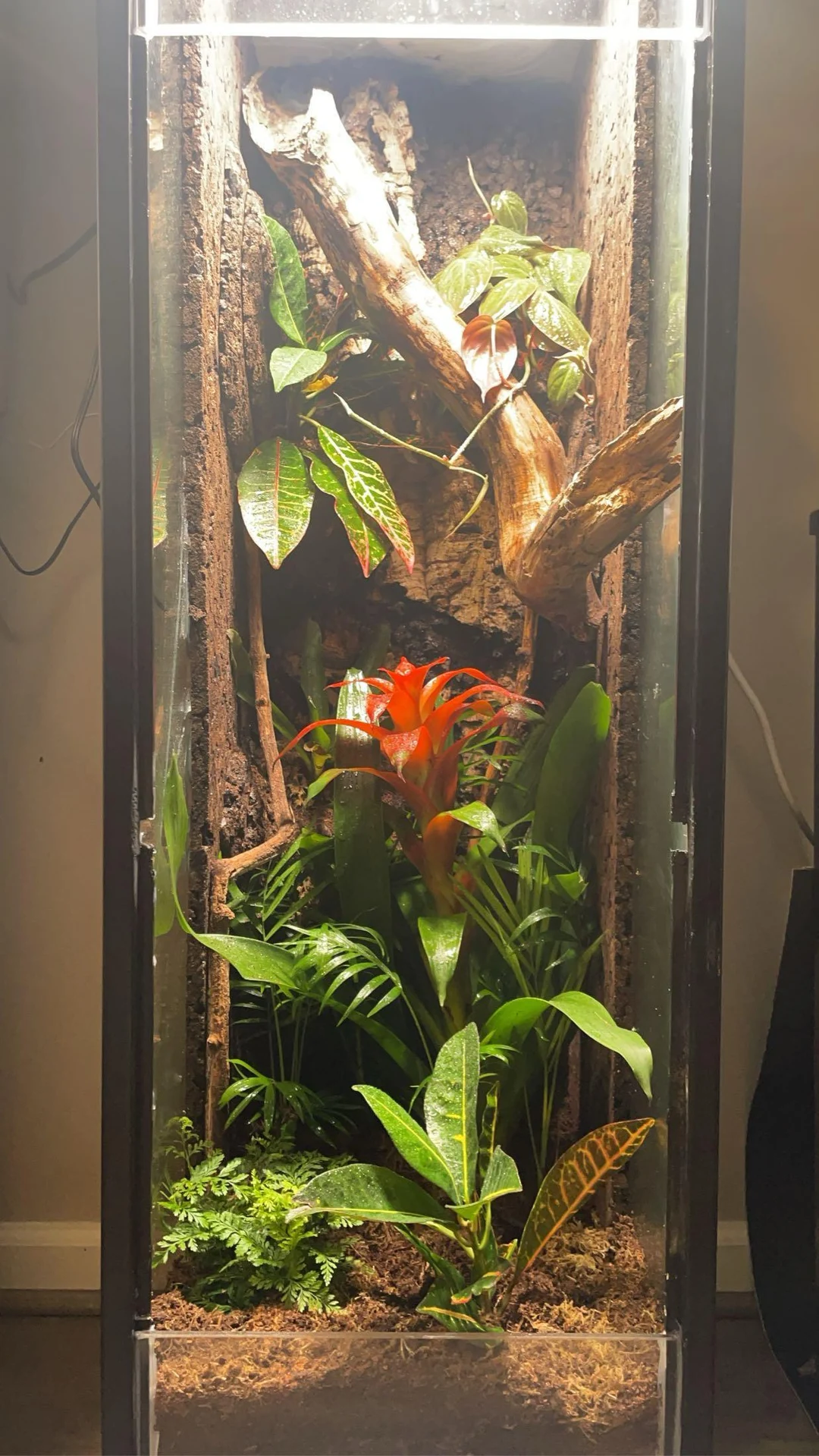 Guess what animal is going in this new enclosure I just built!!! | Scrolller