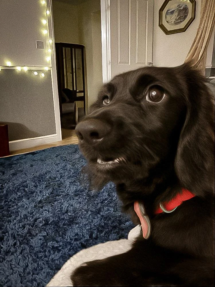 Shocked pikachu face | Scrolller