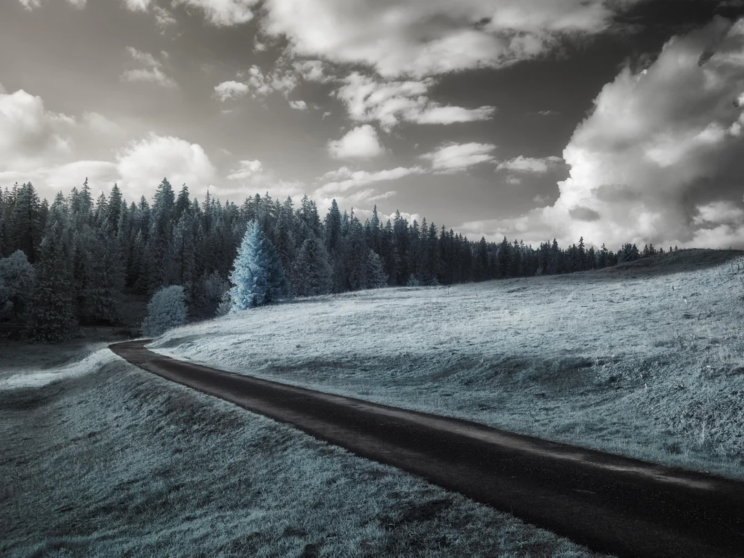 Chasing the light in Switzerland 🇨🇭 | Scrolller