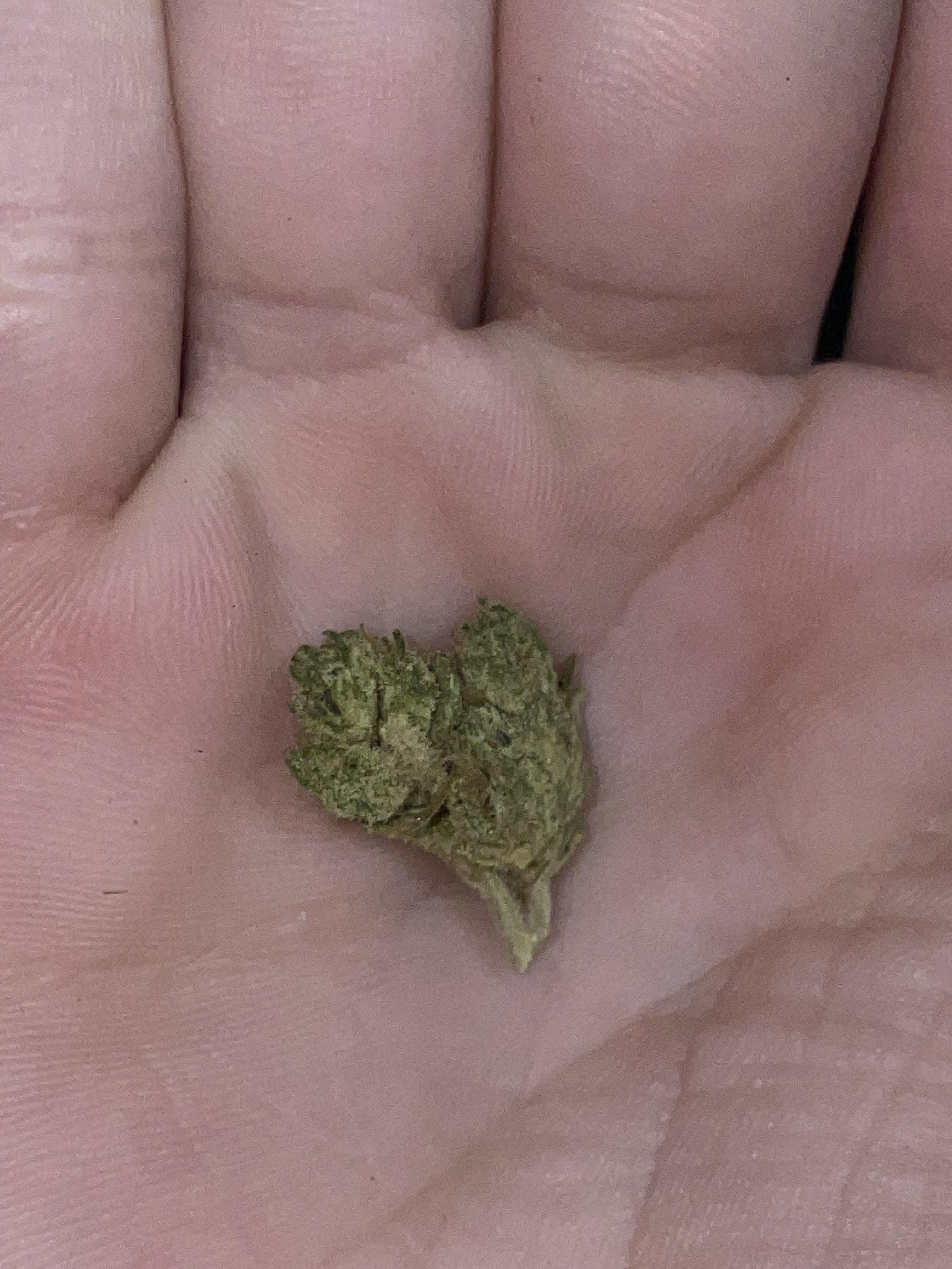 Help do u see any mold? | Scrolller