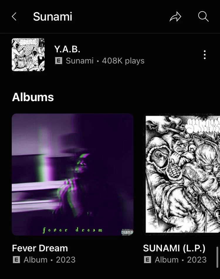 Sunami Fever Dream album?? | Scrolller