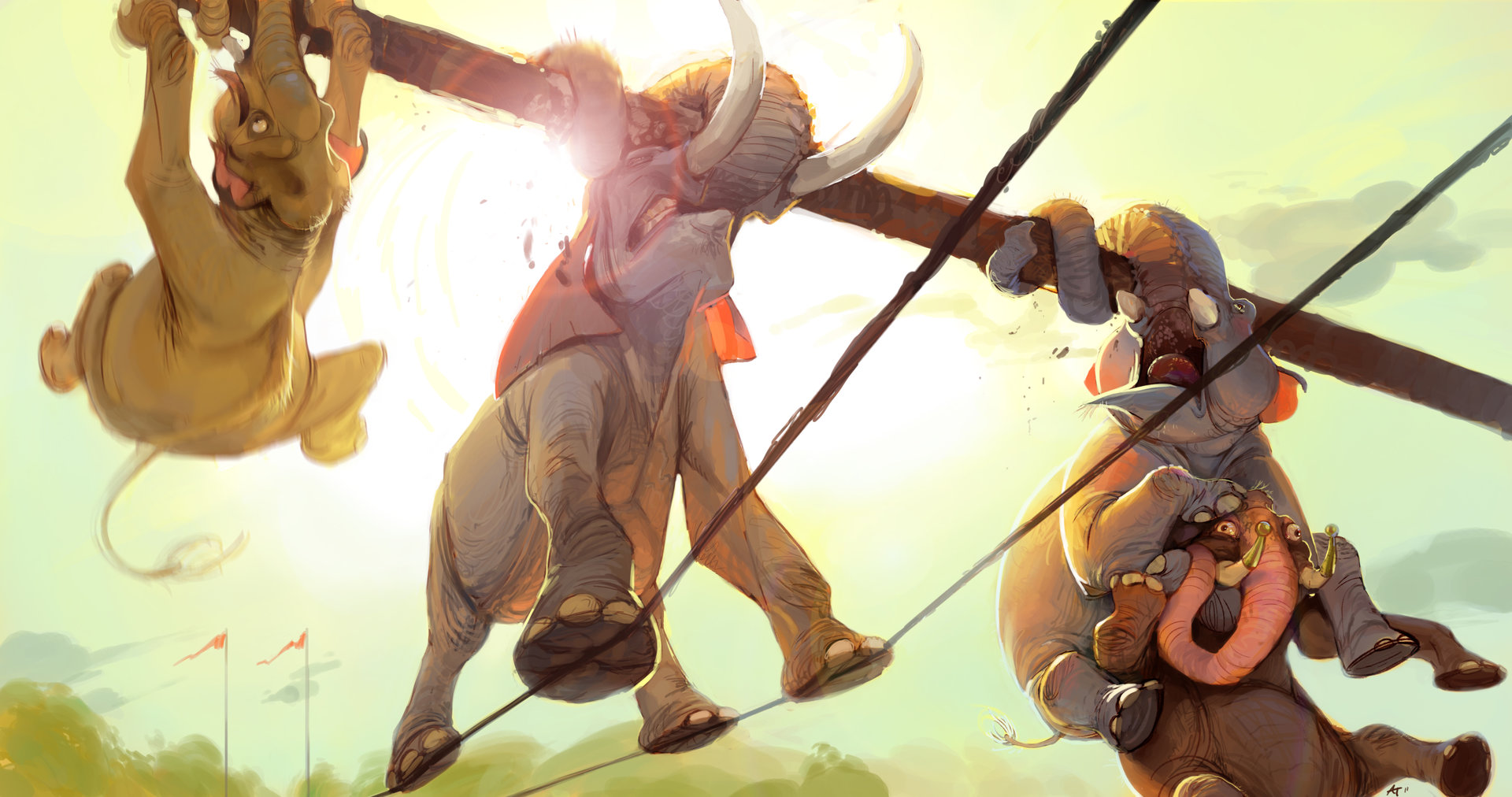 Rope Training by Andrew Theophilopoulos | Scrolller