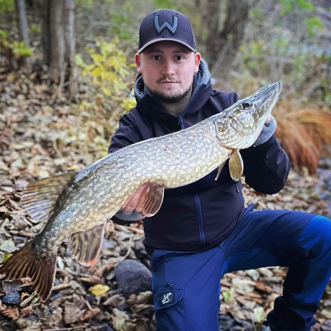 Swedish pike🇸🇪 | Scrolller