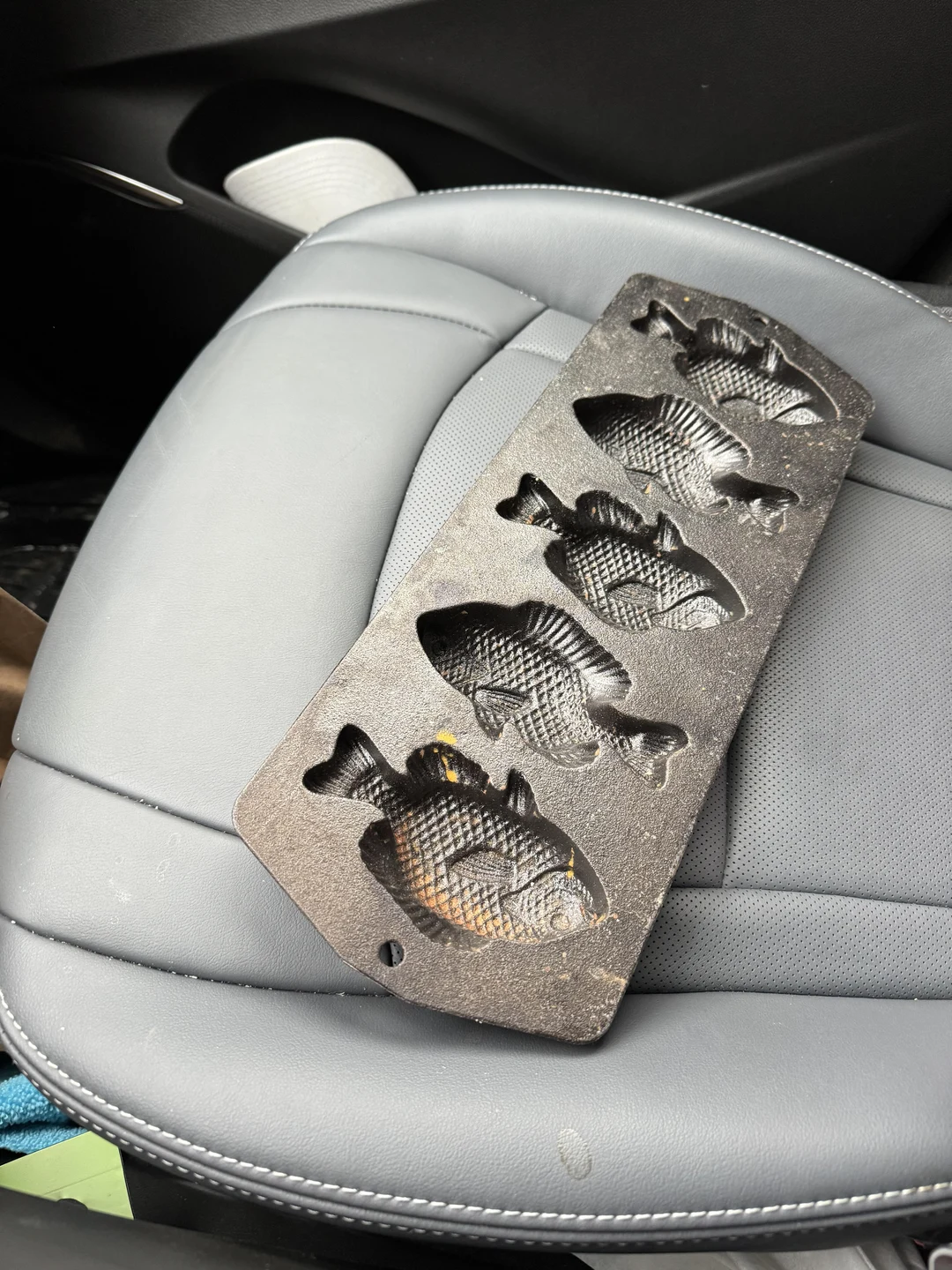 Lodge Fish Mold | Scrolller