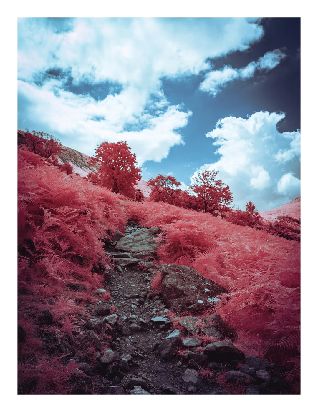 Lake District - Hoya R25A | Scrolller