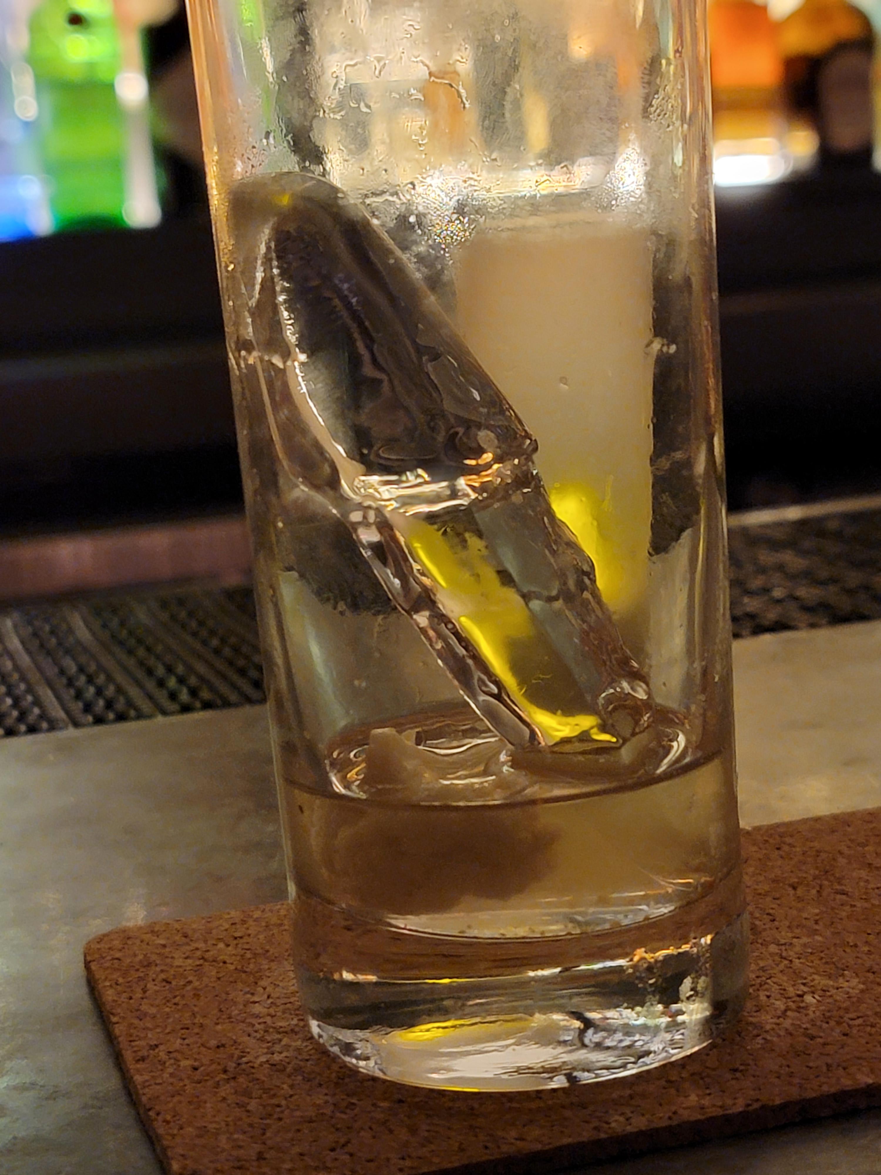 My cocktail (hah) ice cube | Scrolller