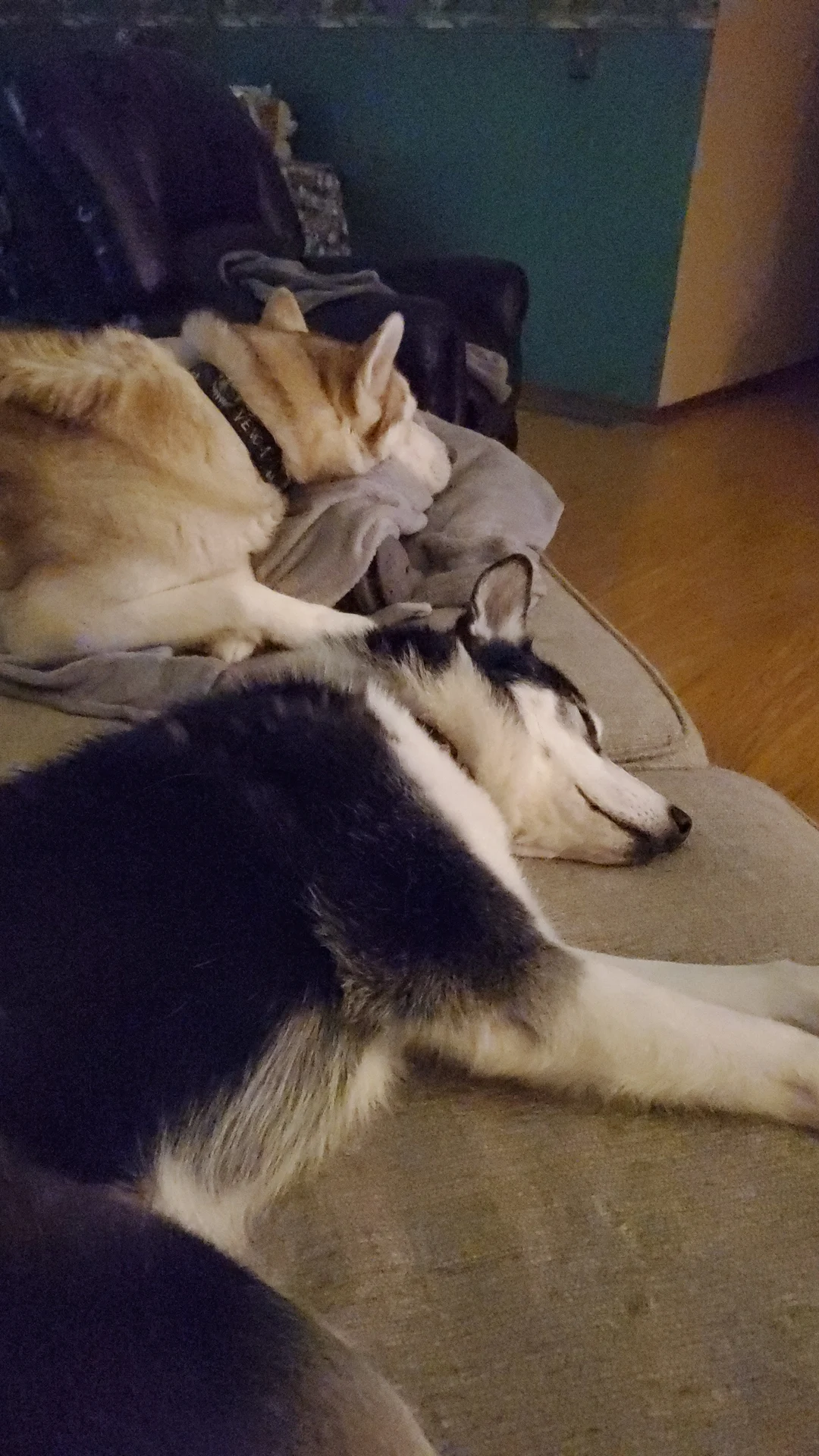 Couch Commander | Scrolller