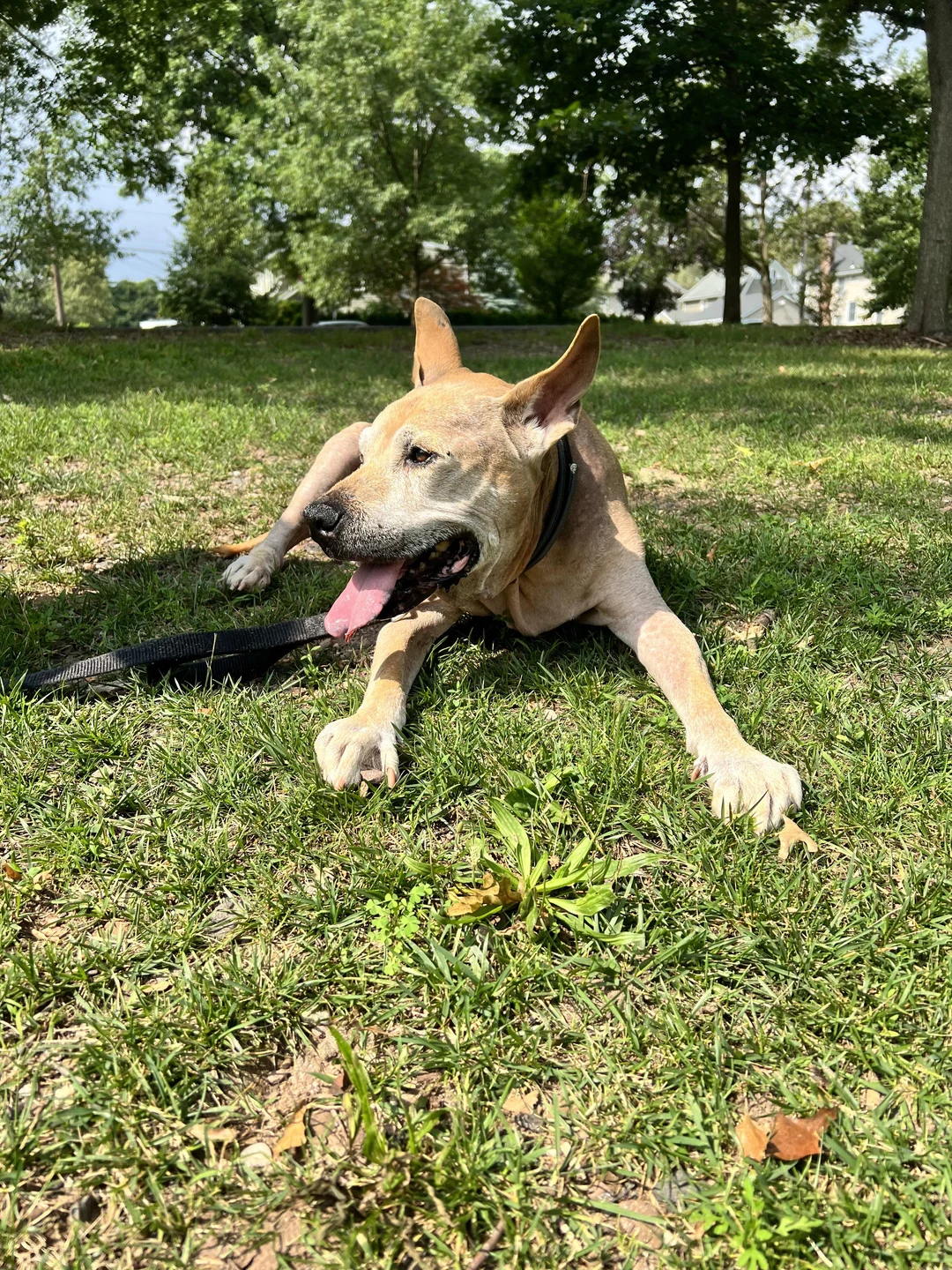 Last ever pic of Cooper 17ish | Scrolller