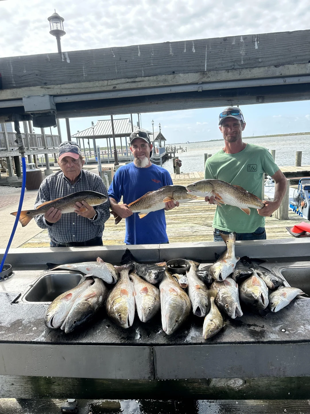 Redfish madness | Scrolller