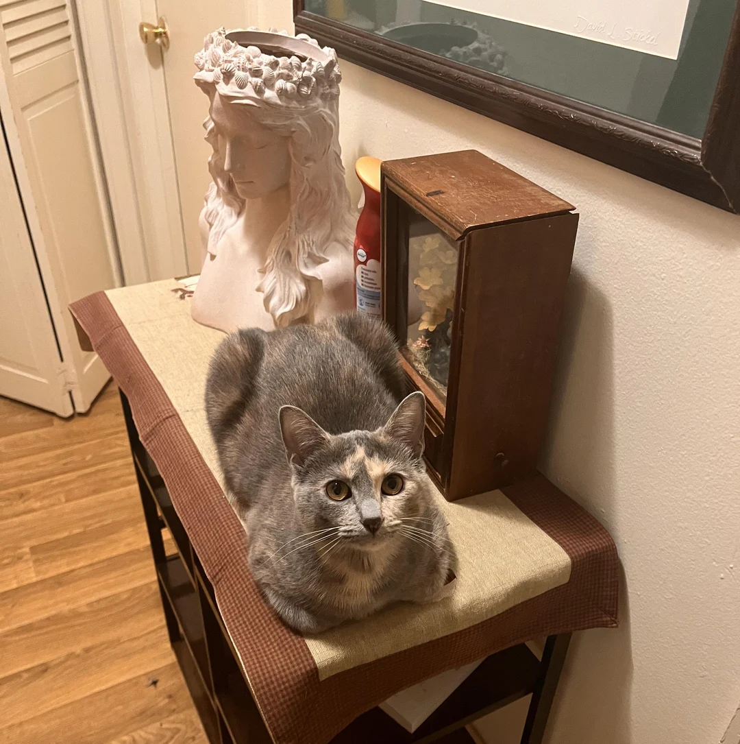 I’ve never seen a more perfect loaf | Scrolller