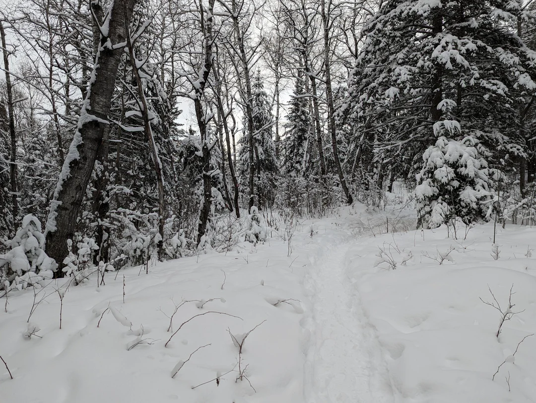 Winter out on the trails, Northwestern Ontario | Scrolller