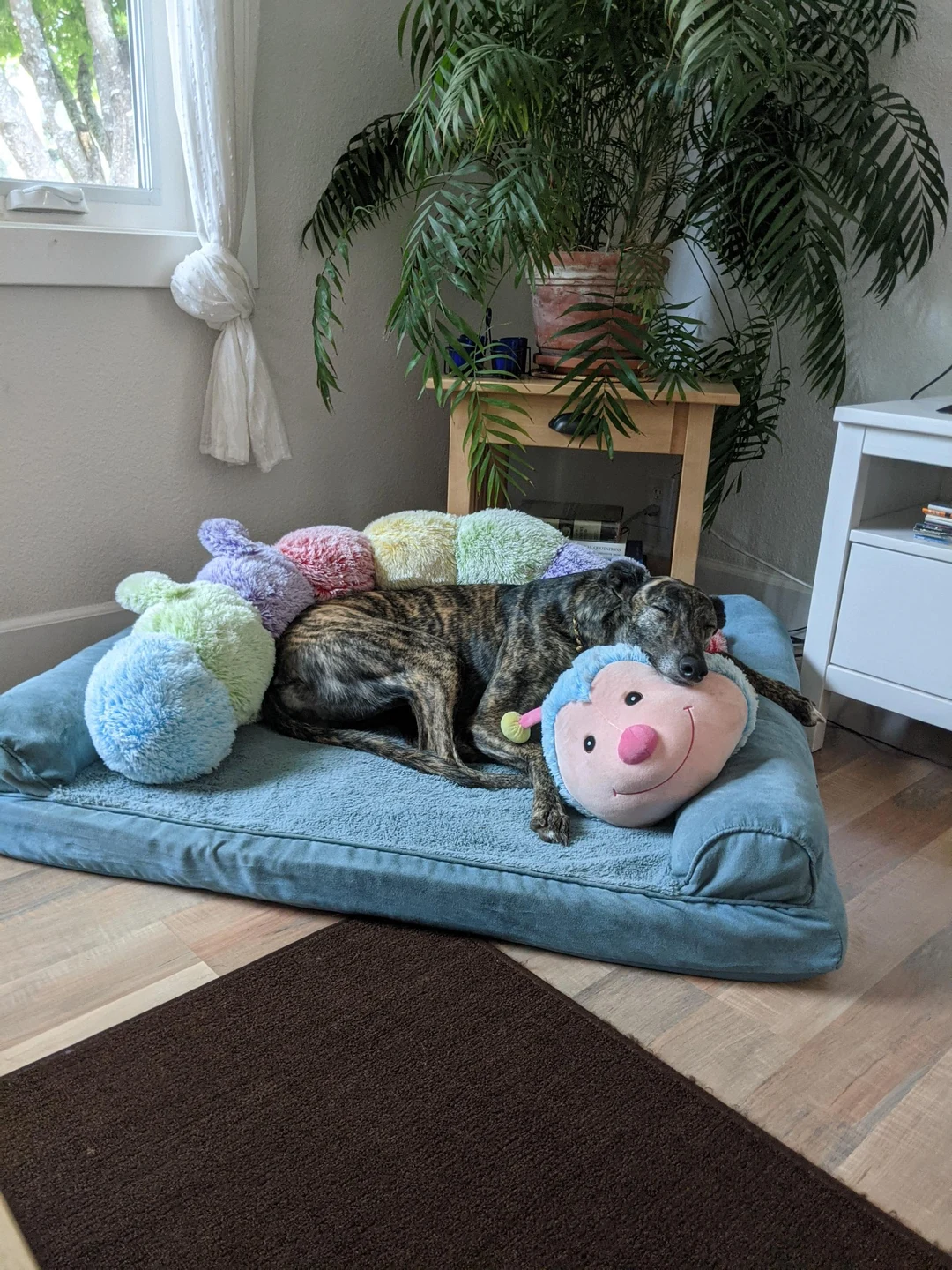 Cuddling with my bestie | Scrolller