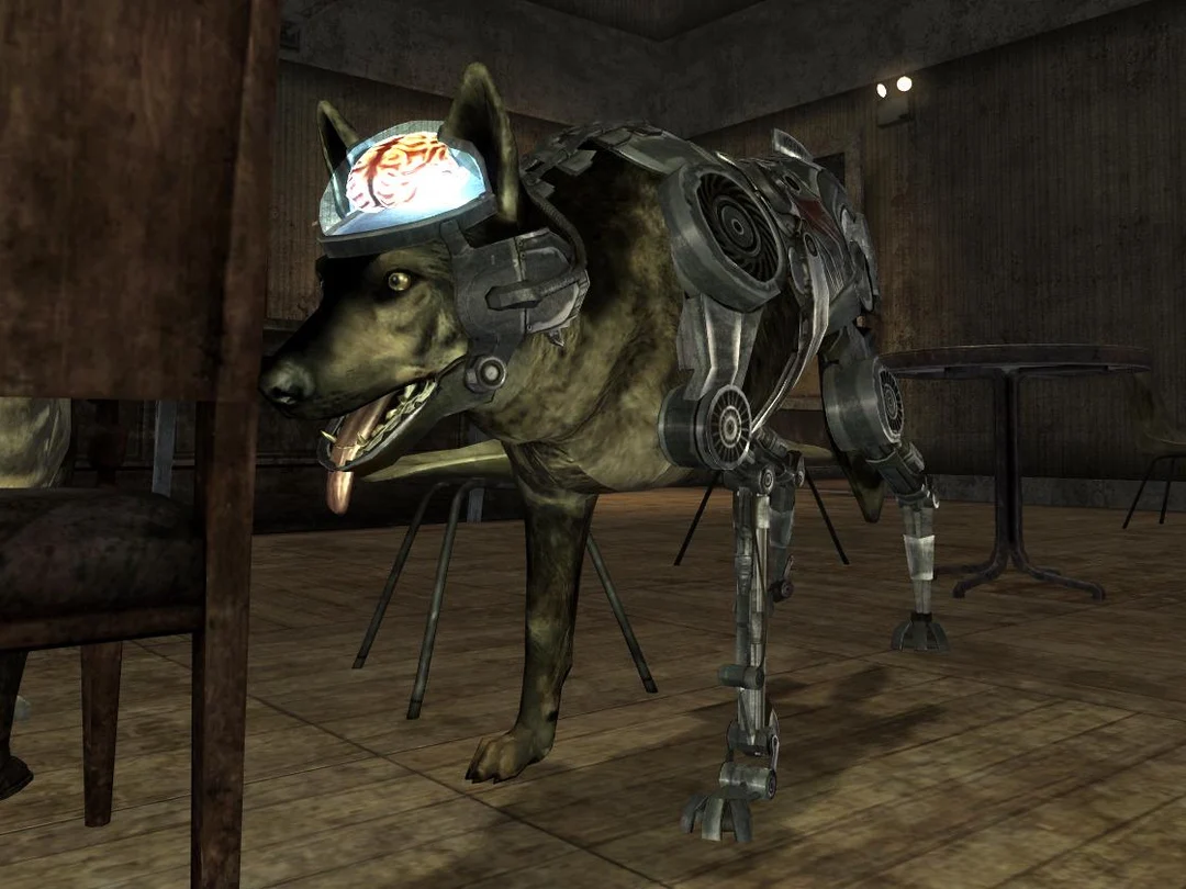 Do you think we'll see Rex in s2 of the Fallout show? | Scrolller