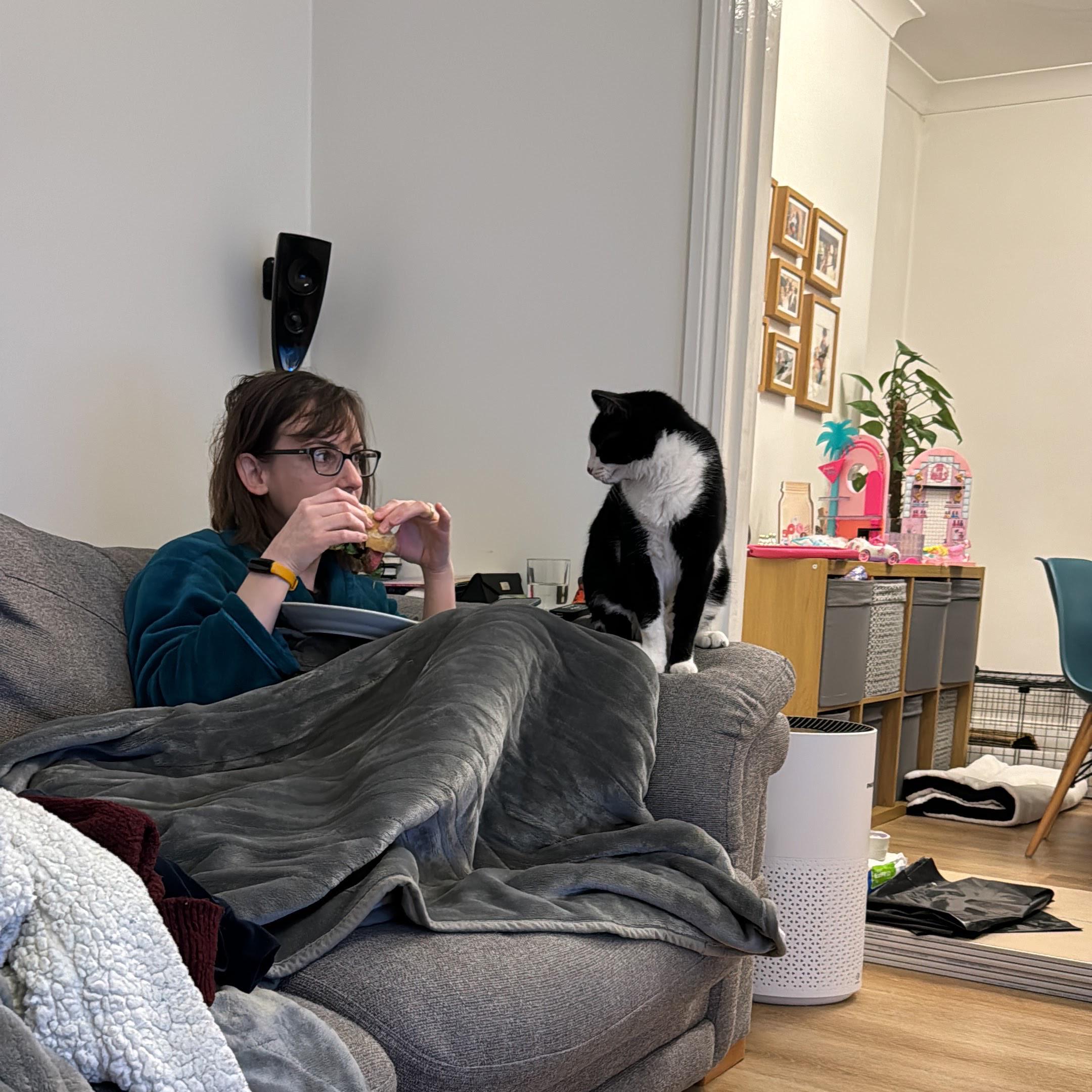 My rescue cat Bandit | Scrolller