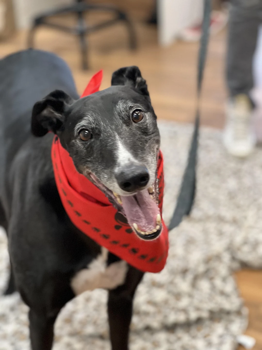 New Resource Guarding? | Scrolller