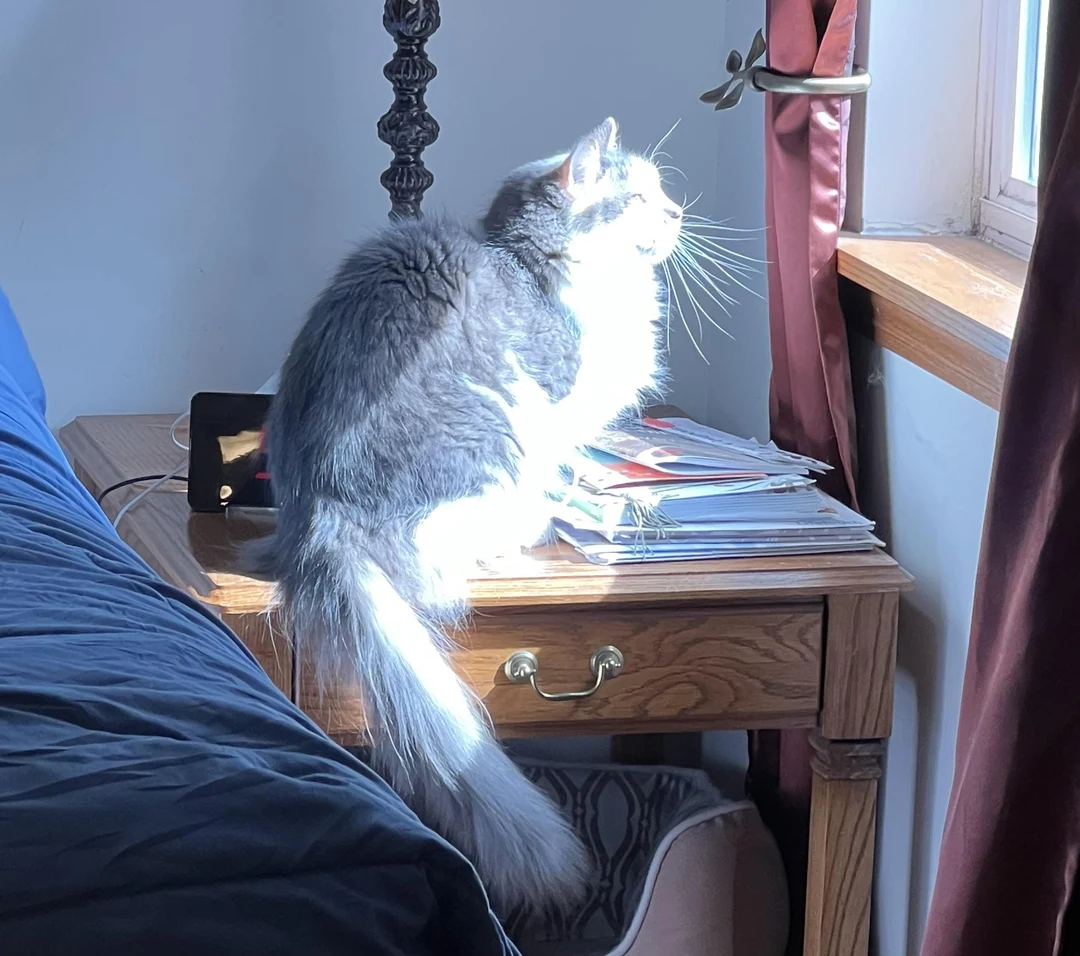 This is MY sunbeam. | Scrolller