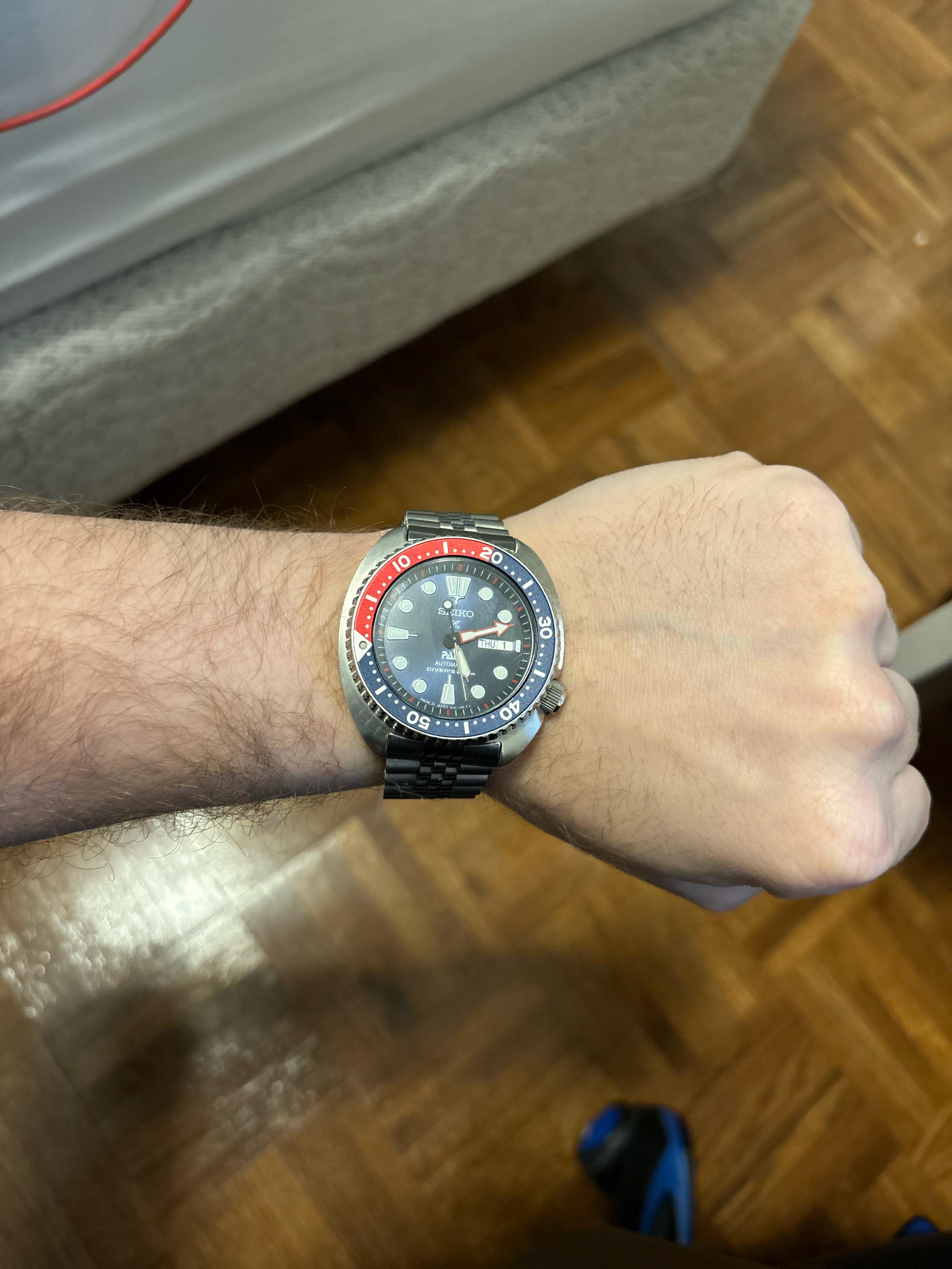 Show me your Turtles! | Scrolller