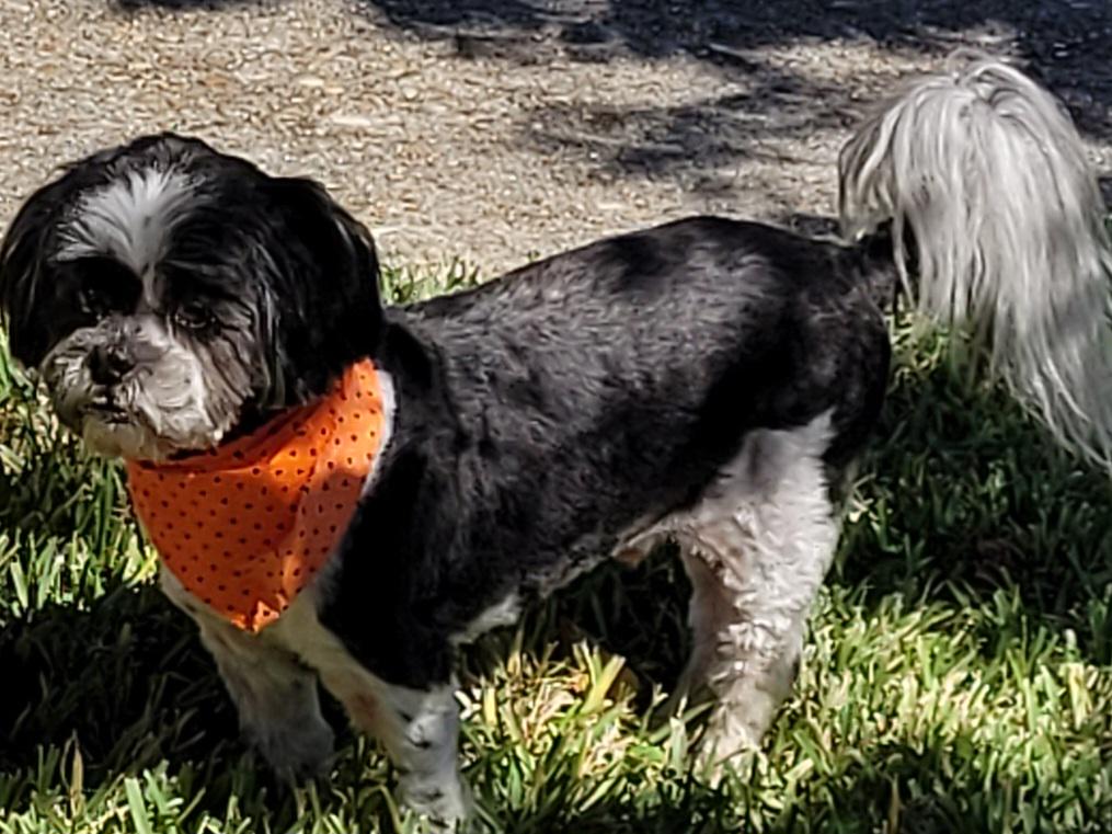 Cancer won | Scrolller