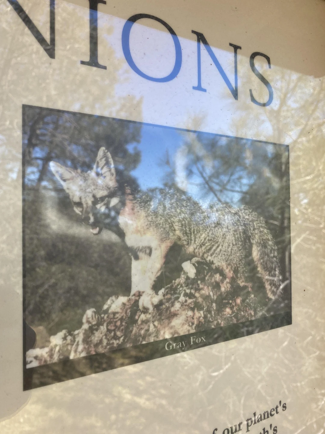 Capital! | Scrolller