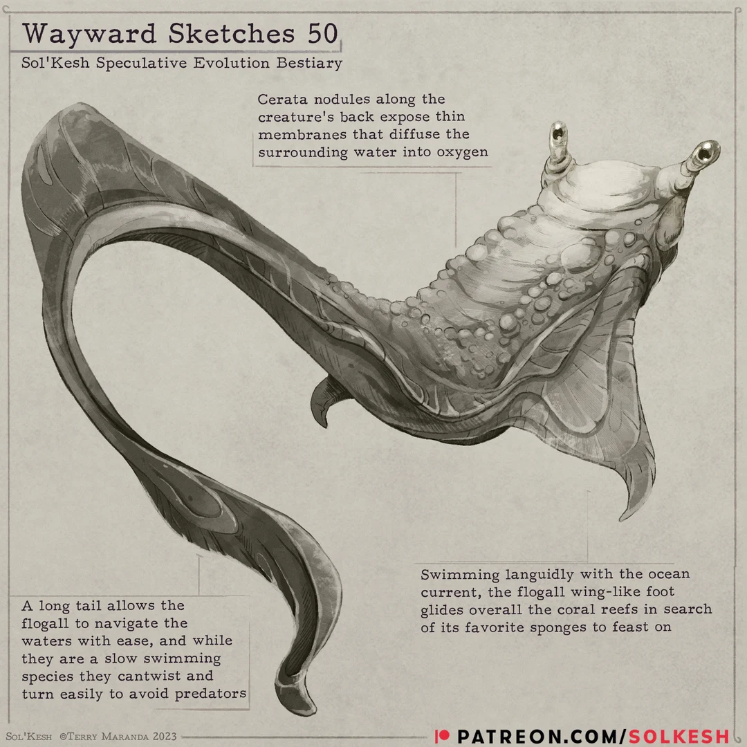 Wayward 50 - Going with the Flow | Scrolller