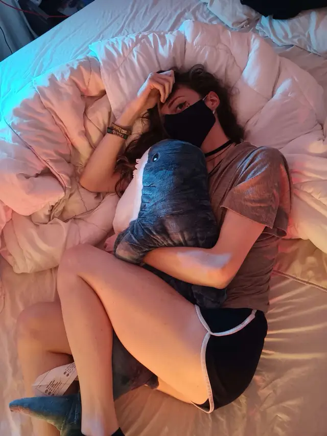 Don't mind me, just a blahaj appreciation post coming through 🥰 | Scrolller