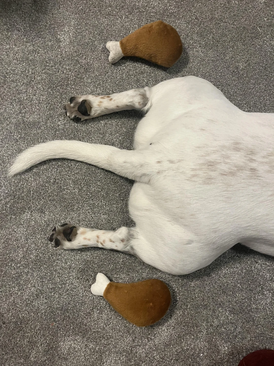 Same same | Scrolller