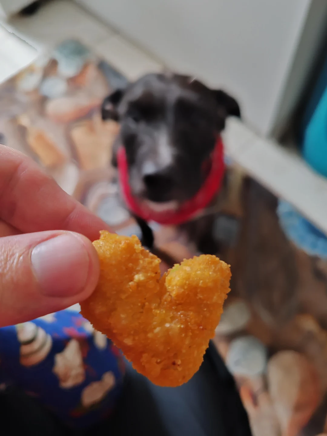 One nugget 💛 for my nugget ️ | Scrolller