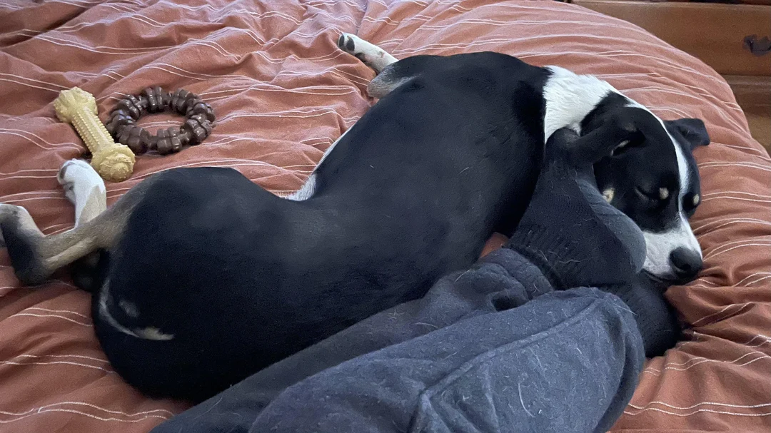 Why he do that | Scrolller