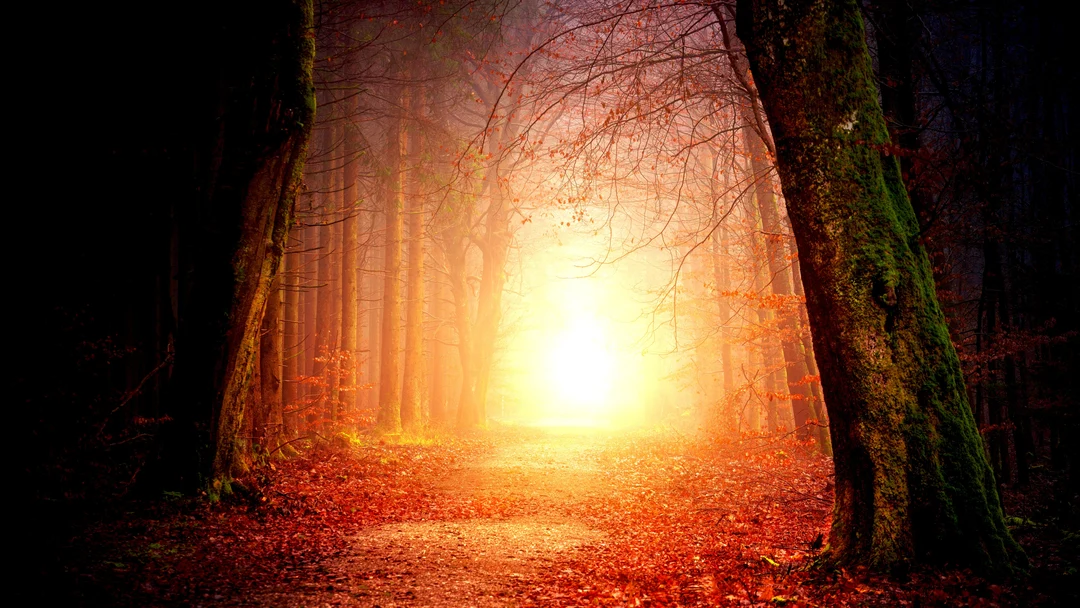 The Path [7680x4320] 8K | Scrolller