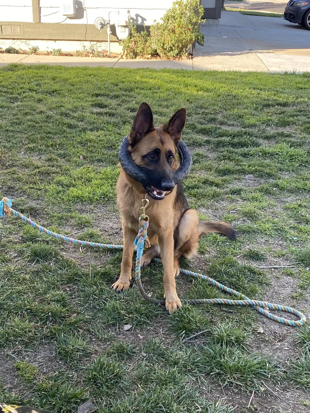 Mom I think it’s stuck. | Scrolller