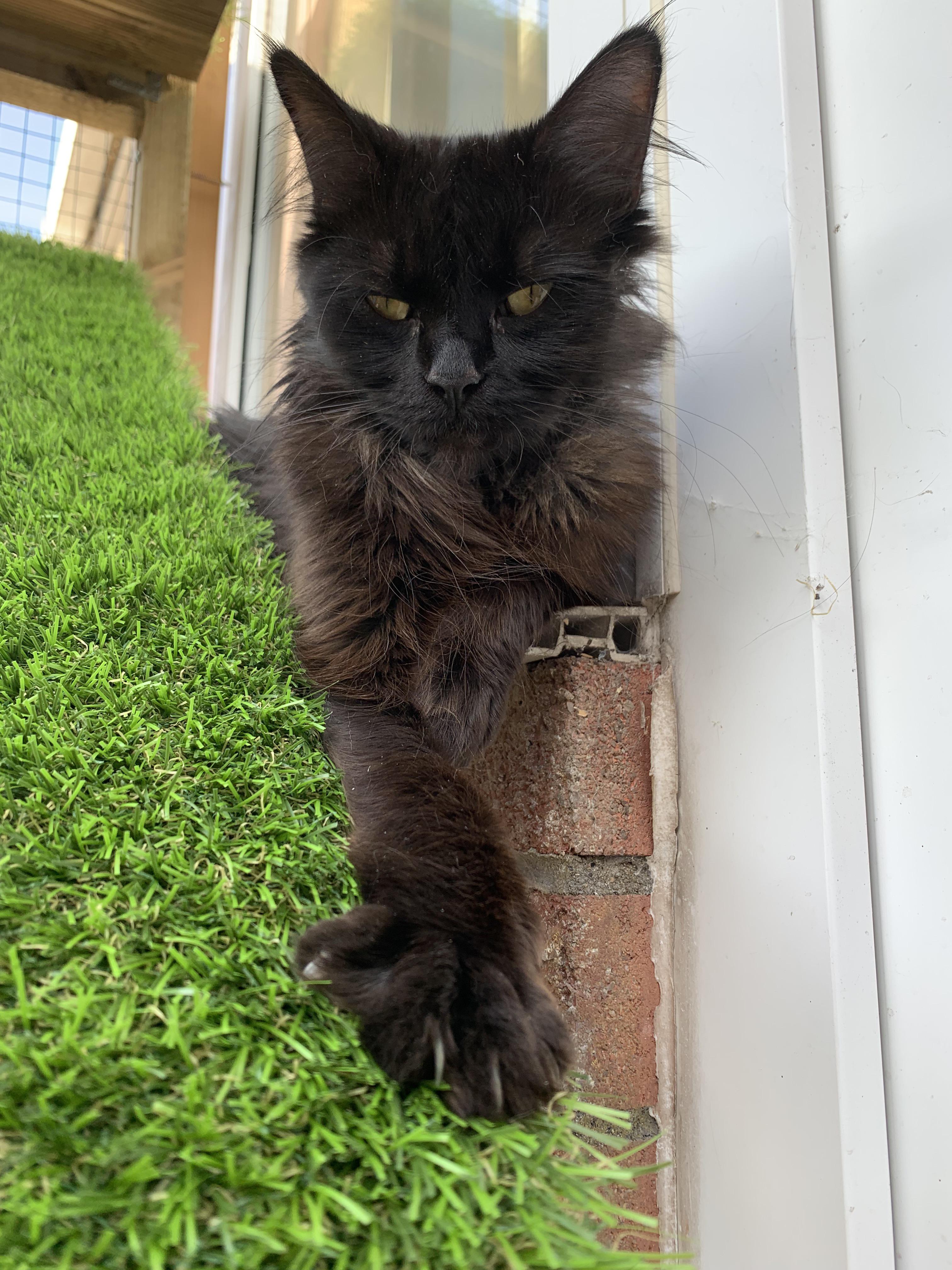 Claw flex | Scrolller